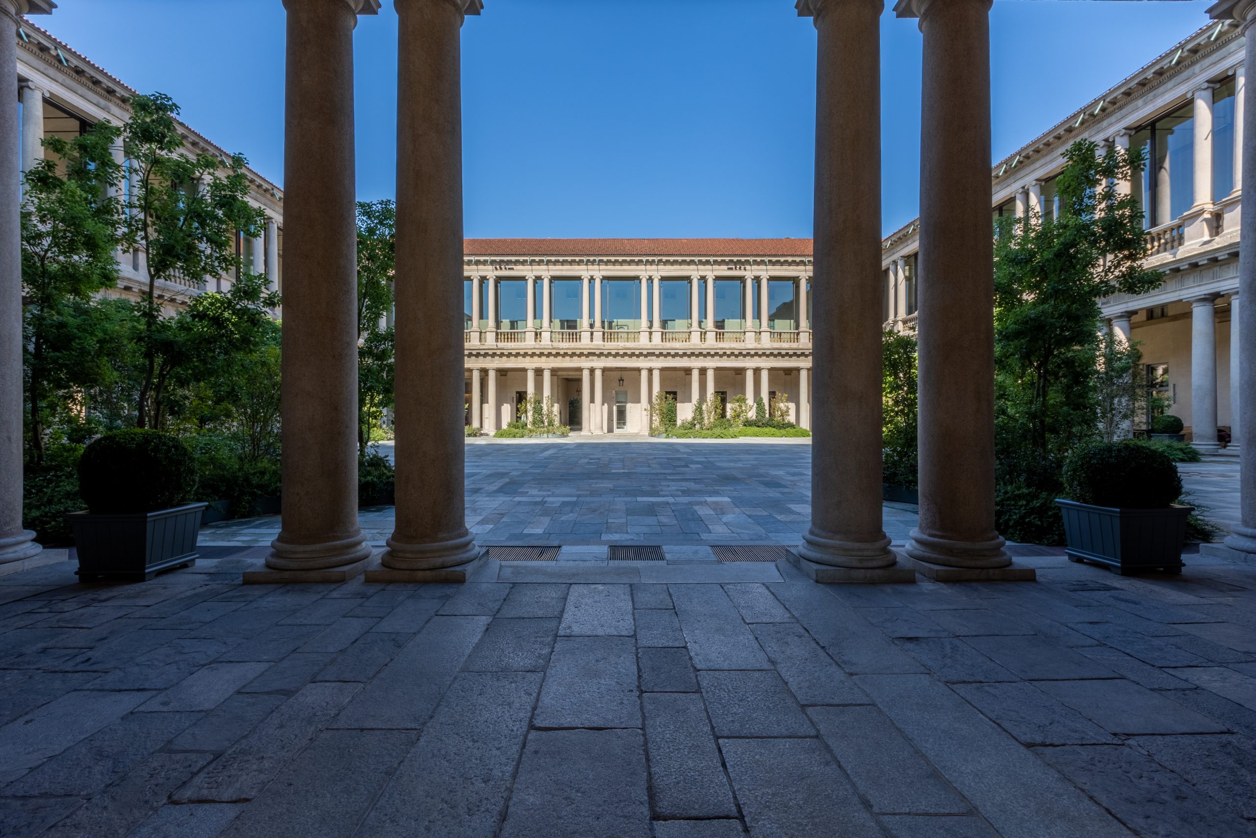 Portrait Milano - Mason Rose